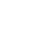 Microenterprise - TechSoft Systems