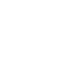 Microenterprise - TechSoft Systems